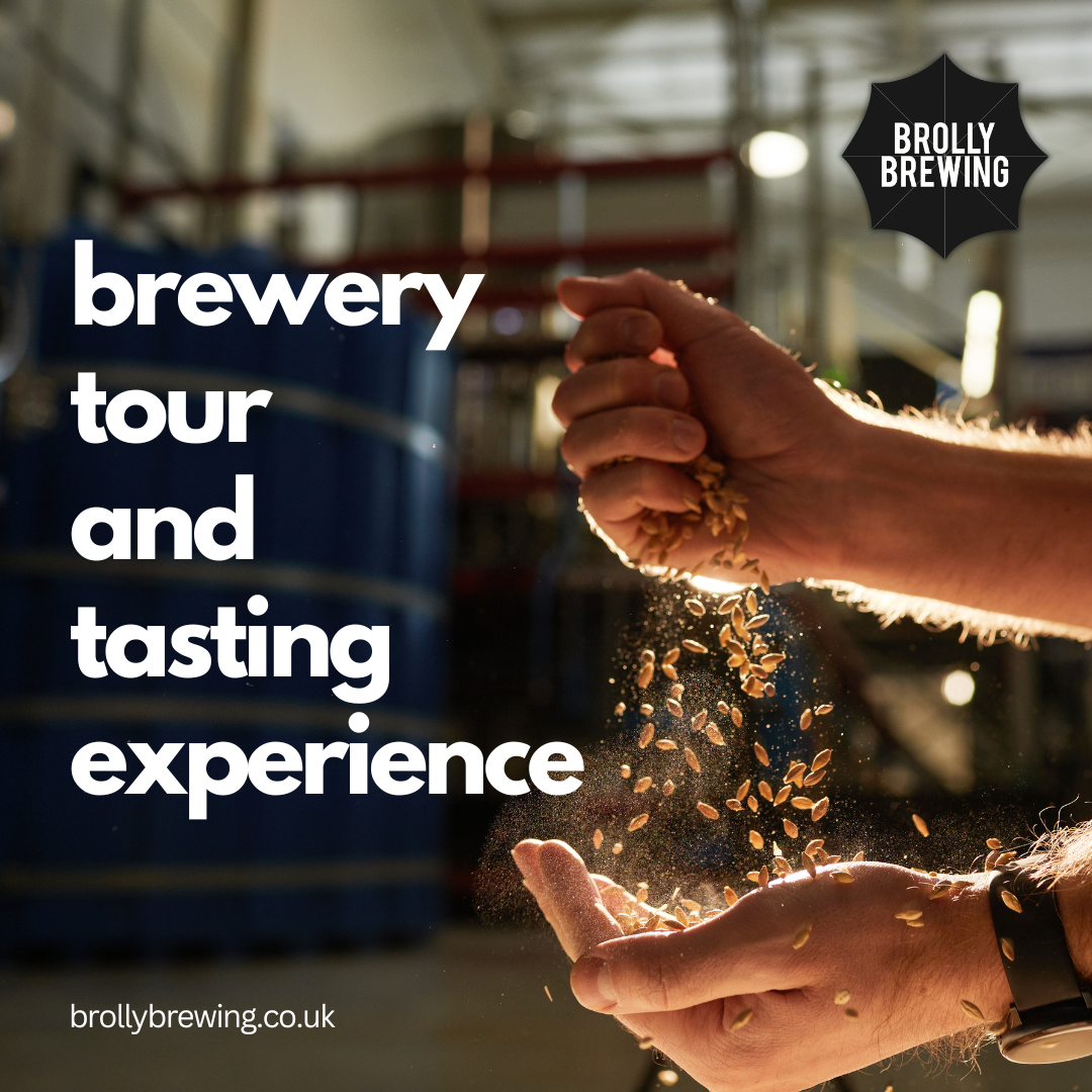 Shop All | Brolly Brewing